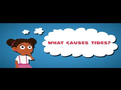 What are tides? | Tides explained for kids | Science facts for kids | Fun facts for kids | Fun Facts