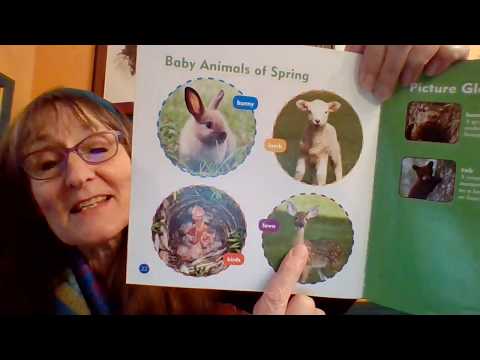 Animals in Spring by Jenny VanVoorst