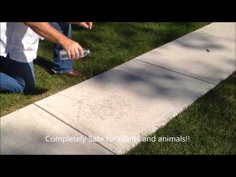 Concrete Sealer That is a True Sheild to Water, Salt, Mold, Moss, Staining and freeze/thaw damage.