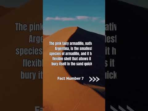 10 Strange Animal Facts #factshorts #funfactshorts #animals