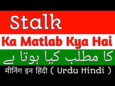 Stalk Meaning | Stalk Meaning In Urdu Hindi | Stalk Ka Matlab Kya Hota Hai | Stalk Ka Meaning Kya Ha