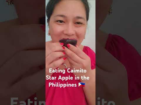 Eating Caimito #vlog = Star Apple in the Philippines 🇵🇭