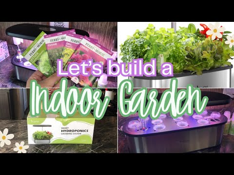 🪴GARDENING IN SMALL SPACES / INDOOR GARDEN / HYDROPONIC GARDEN / Let Pot Hydroponic Growing System