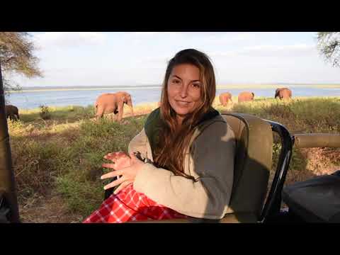 The elephant of Tarangire National Park - Asilia Africa