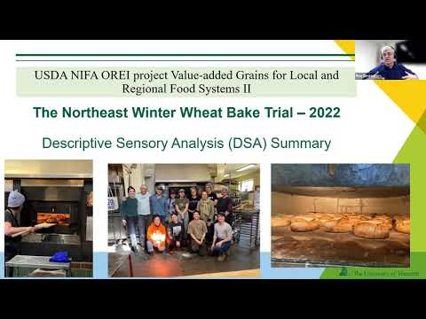 Descriptive Sensory Analysis of Sourdough Wheat Bread
