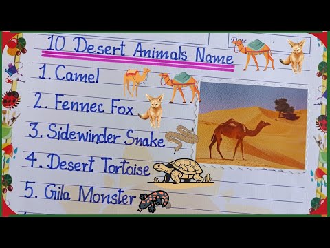 10 Desert Animals Name | Discover 10 Desert Animals in English | Learning on Desert Animals Name✨