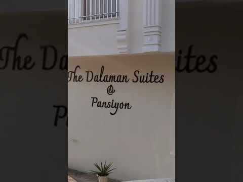 WhatsApp Video 2024 12 31 at 01 31 46