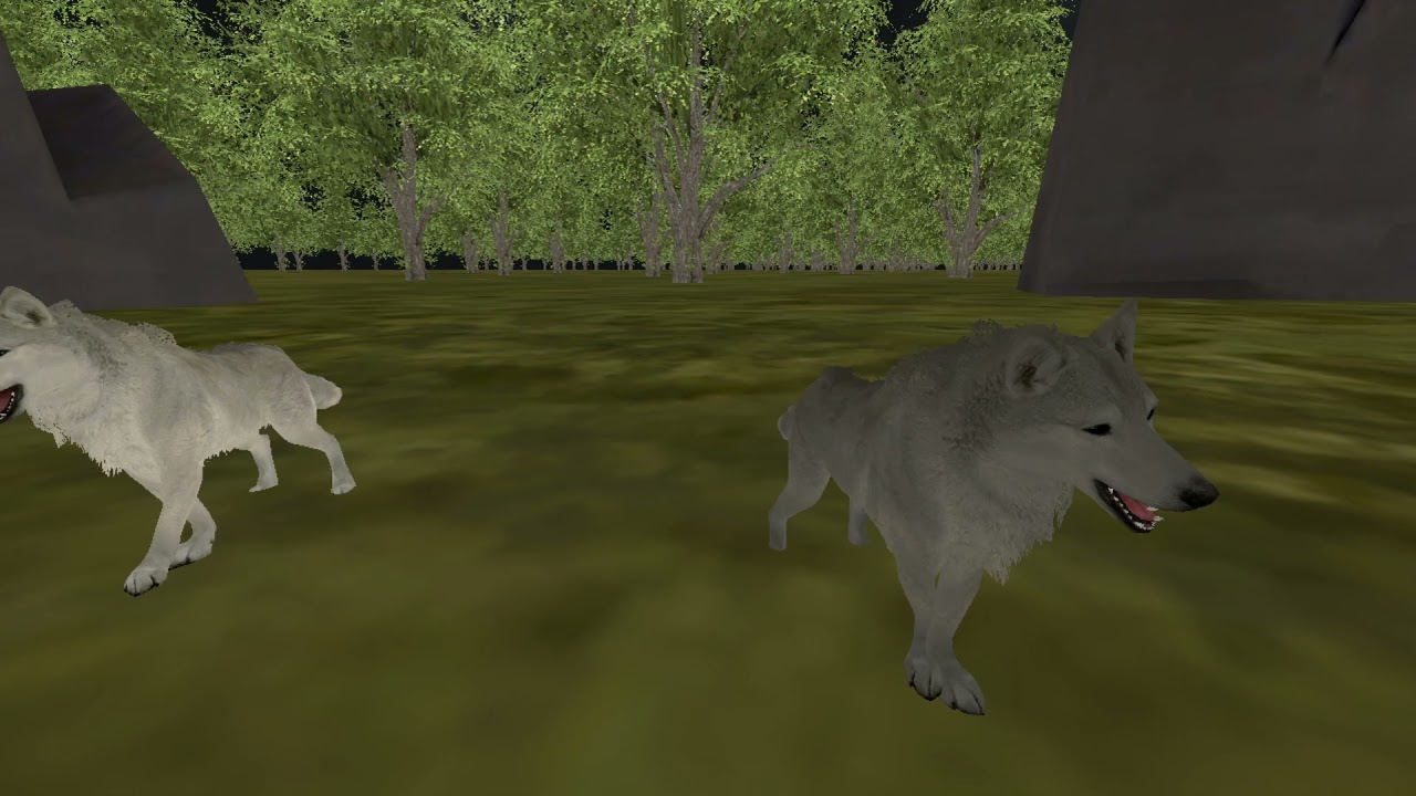 Wolf transformation