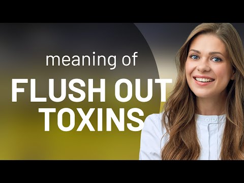 Demystifying "Flush Out Toxins" - Understanding This Phrase in English