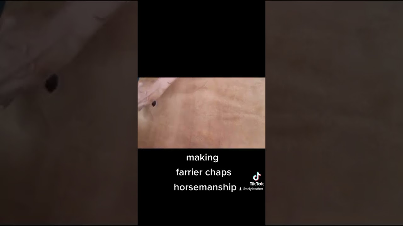 farrier chaps leather by adyleather