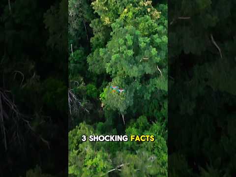 You Won't Believe These Animal Facts 🤯💥 #shorts
