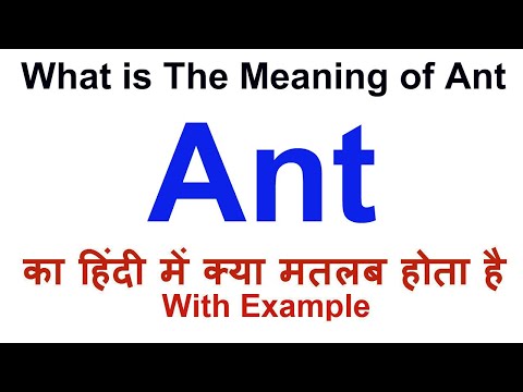 Ant Meaning in Hindi | Ant Definition | Ant Ka Matlab Kya Hota Hai | Ant in Hindi