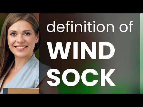 Wind sock | WIND SOCK definition