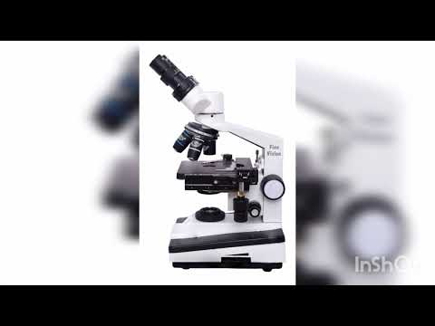 Binocular Microscope - Binocular Compound Microscope Latest Price ...
