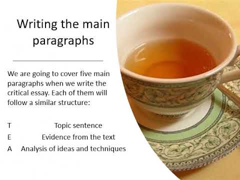 Lamb to the Slaughter Lesson 6: Critical Essay