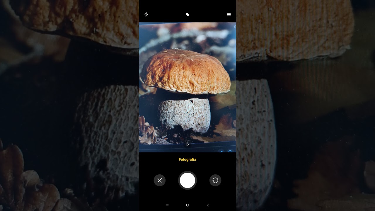 Mushroom classification