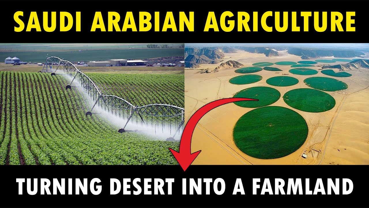 Transforming the Desert: Saudi Arabia's Agricultural Revolution | Galaxy.ai