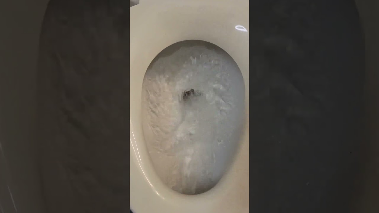 Are Flushable Wipes Actually *Flushable*?