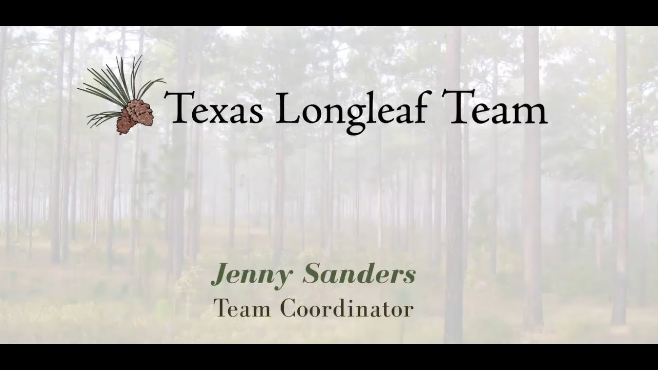 Wildlife Diversity Webinar Series - Texas Longleaf Team