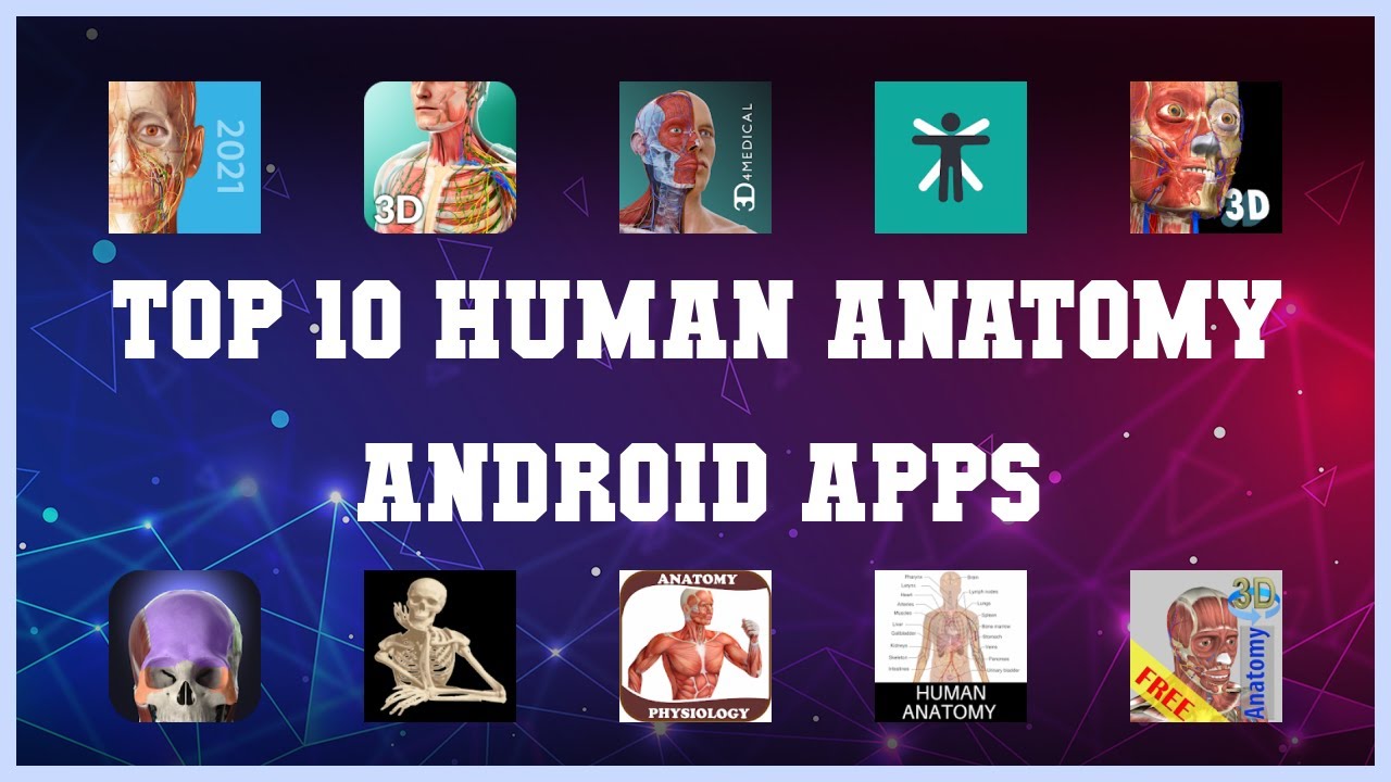 Top 10 Human Anatomy Android App | Review
