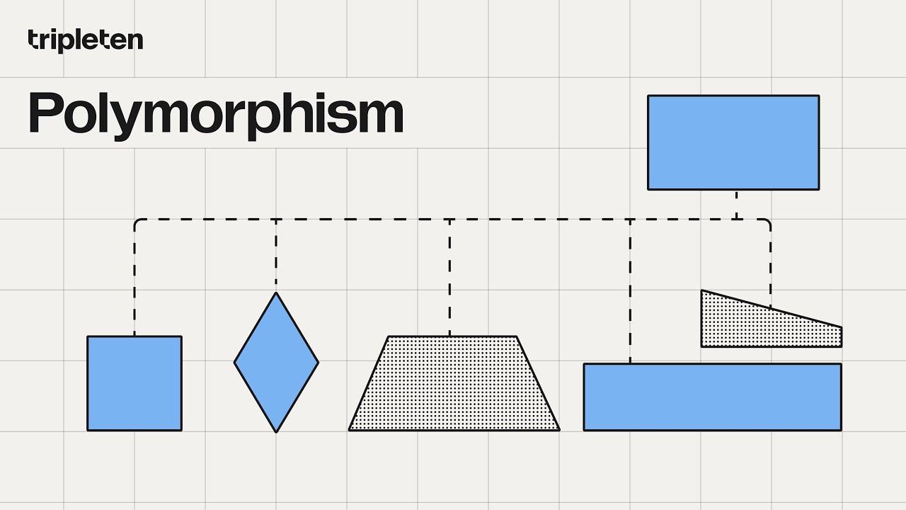 An Introduction to Polymorphism in Object-Oriented Programming