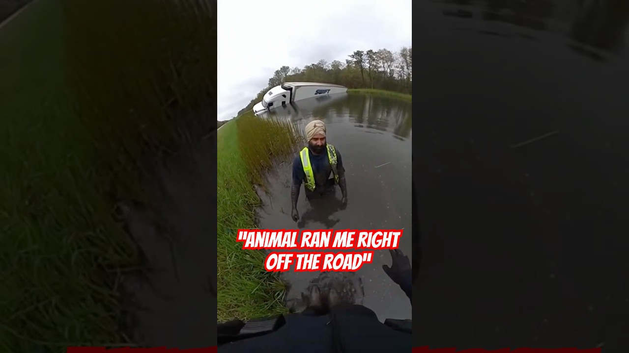 Cop Thought It Was Abandoned… Then the Driver Emerged 😭