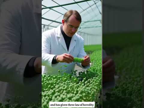 "Gregor Mendel |The man who Discovered Heridity "