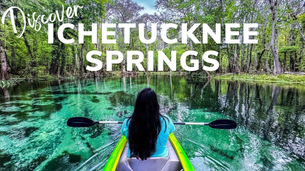 Ichetucknee Springs: Experience One of Florida's Natural Paradises