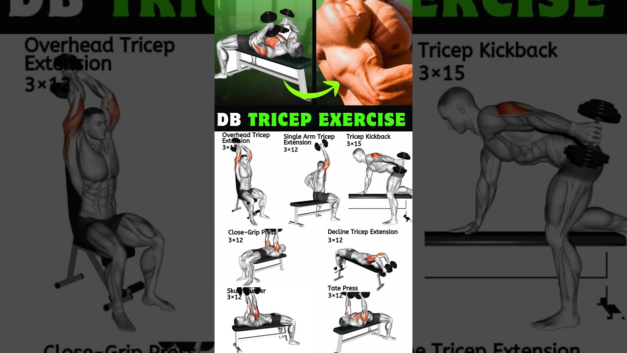 TOP 7 Dumbbell Tricep Exercises for Massive Gains #workout #tricepexercises