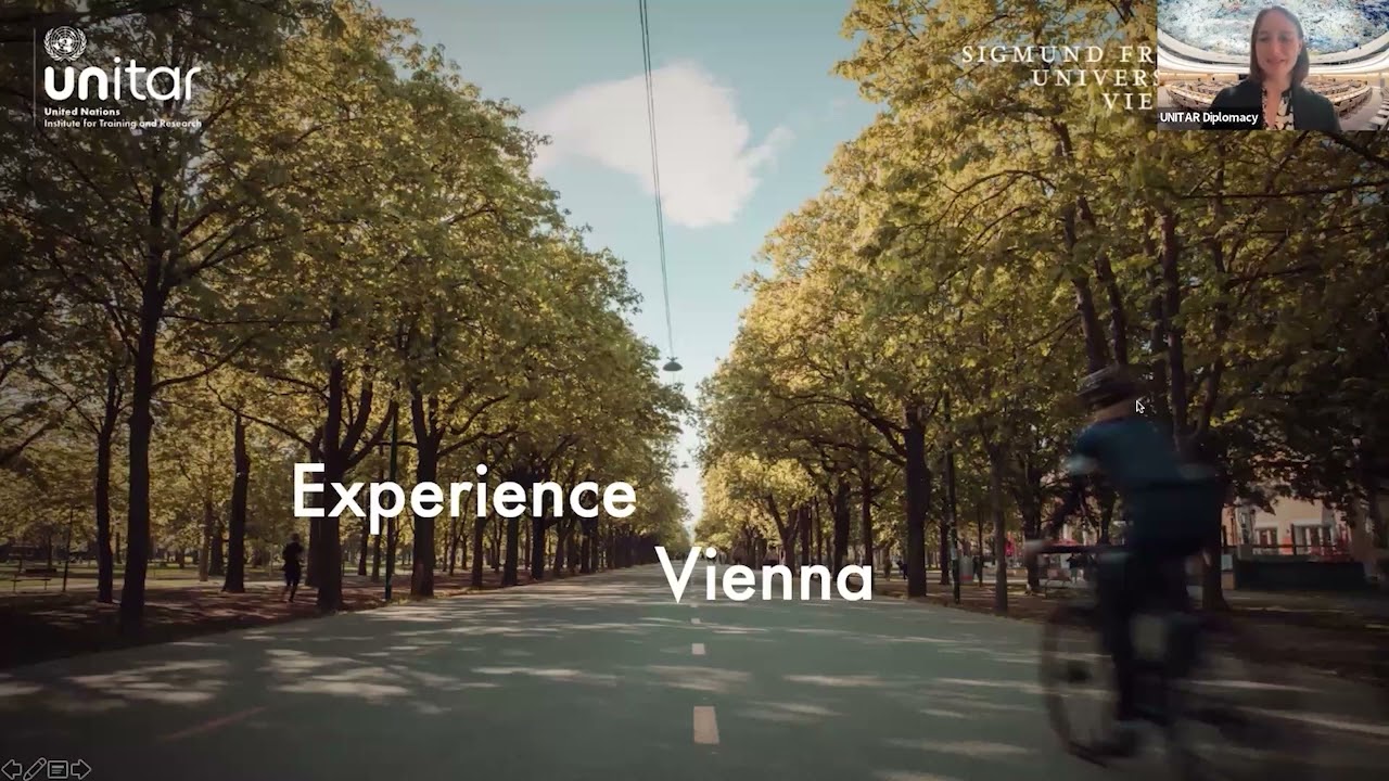 UNITAR-Sigmund Freud University Vienna LL.M in Public International Law - Programme Details