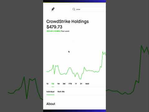 CRWD Stock Will PROTECT Your Portfolio‼️
