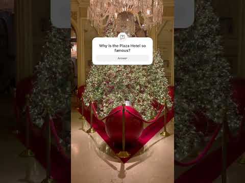 The Plaza Hotel #christmas #plaza #plazahotel #newyork #hotel #hotels #newyorkhotel #famous #nyc