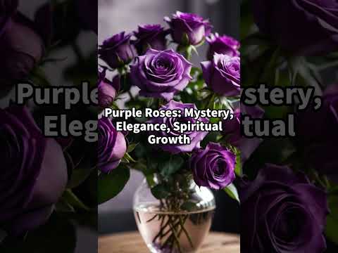 meaning of roses, the flower language of roses #explained