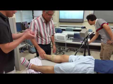 Knee laxity measurement for ACL deficiency patients – SFA – JOSKAS