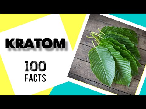 100 Kratom Facts – Rosa Belez