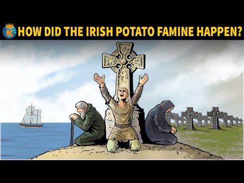 Why didn't the English Save Ireland?