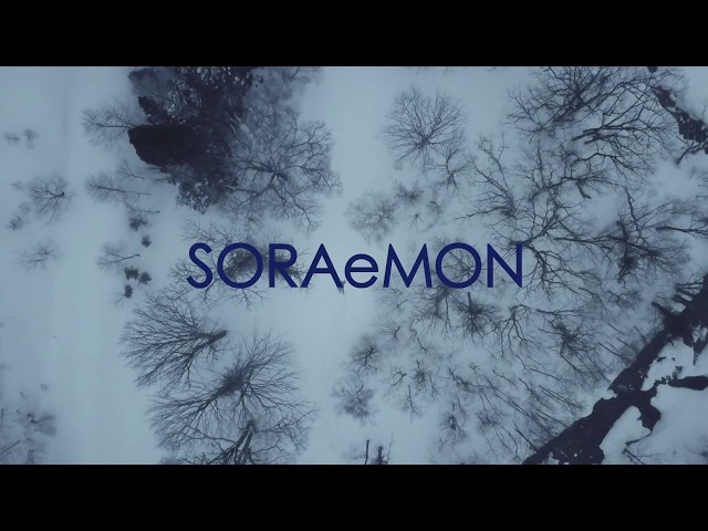 空の世界にCtoCを。数々の分野のドローンパイロットに相談できるマッチングアプリ「SORAeMON」がテストリリース | PR EDGE