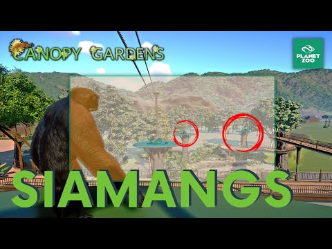 Steam Community :: Video :: Brachiation, Platforms & TreeTop Adventure ...