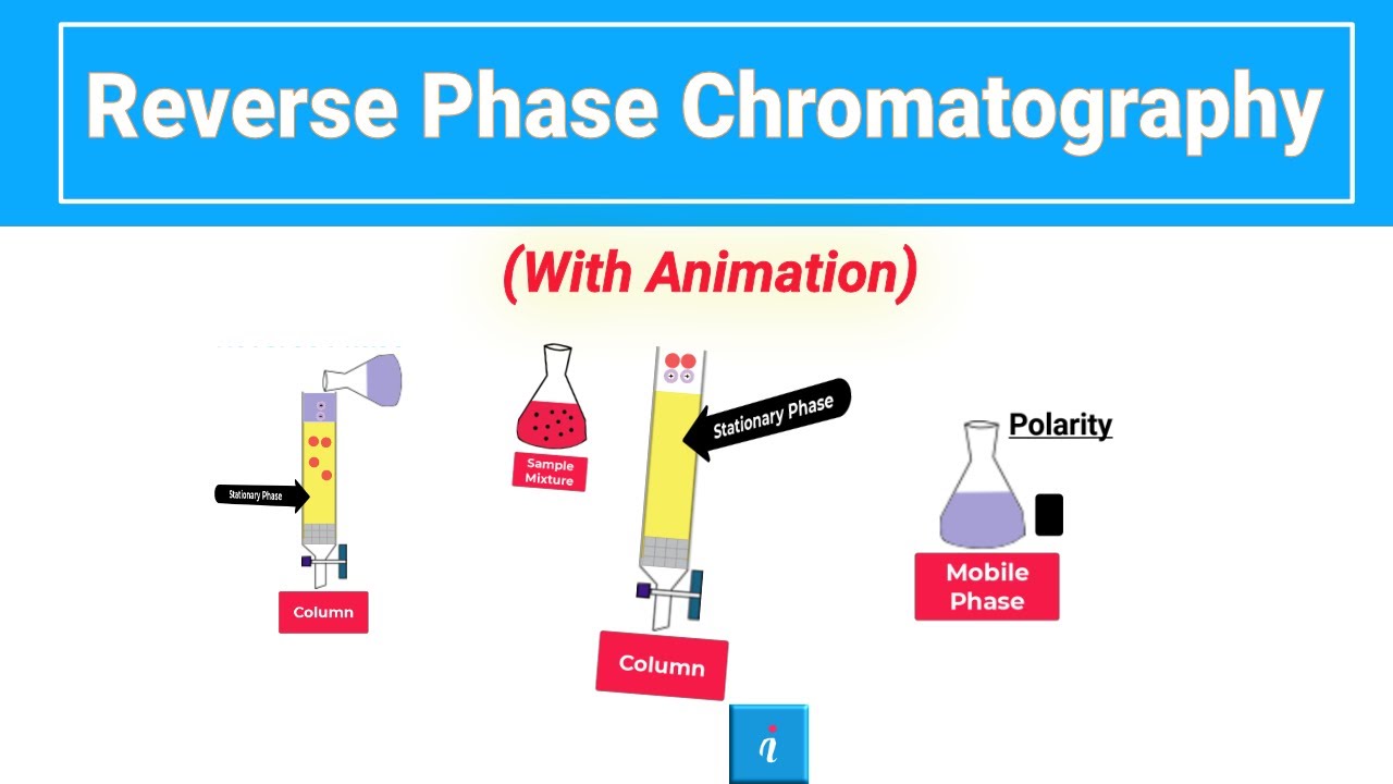 Reverse Phase Chromatography (Animation)