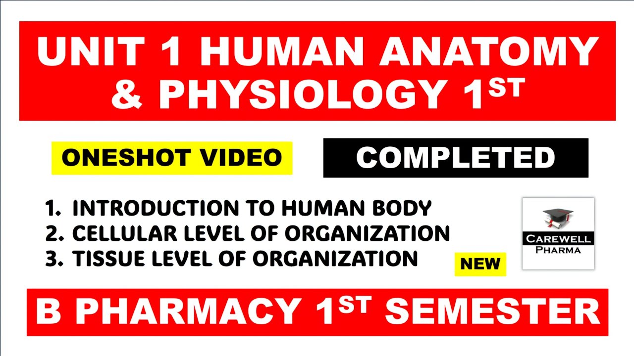 Unit 1 Hap 1 Complete | Human Anatomy and Physiology 1st Semester | Carewell Pharma