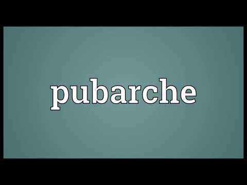 Pubarche Meaning