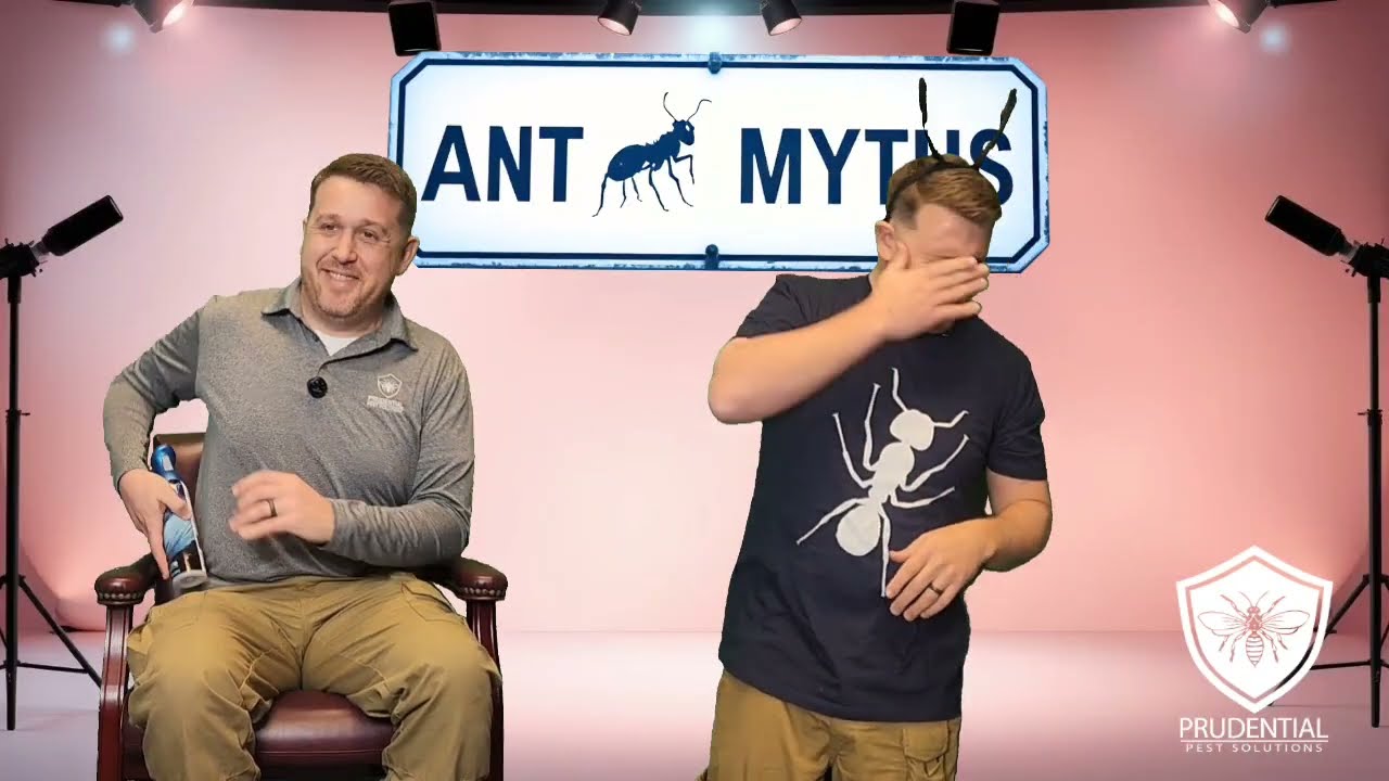 5 Common Ant Myths