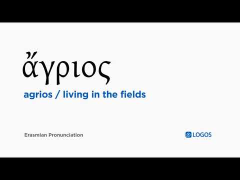 How to pronounce Agrios in Biblical Greek - (ἄγριος / living in the fields)