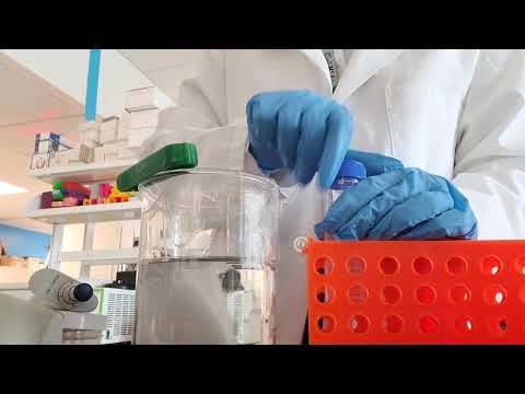 ⚗ How to use Dialysis tubes to change your protein's buffer || Practical Biochemistry