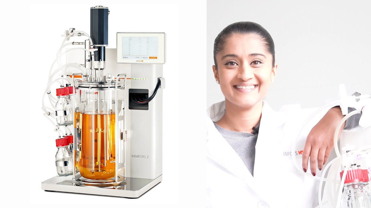 How to set up a bioreactor | INFORS HT