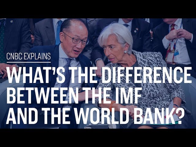 Understanding the Distinct Roles of the IMF and the World Bank | Galaxy