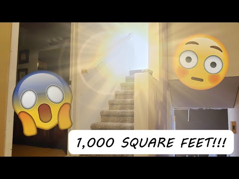 We added 1,000 square feet to our house!!! Part #2