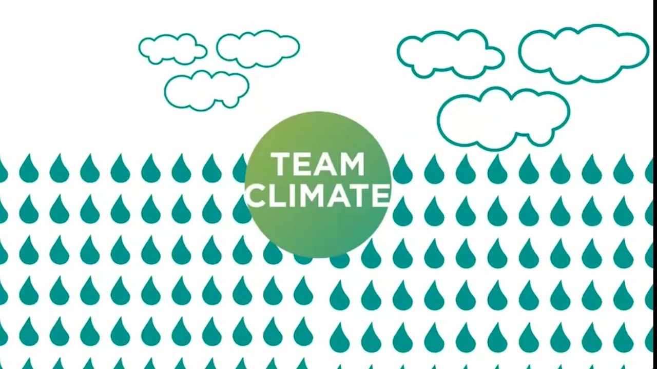 Team Climate