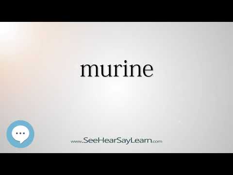 murine - Smart & Obscure English Words Defined ๐๏ธ๐๐ฃ๐ง โ
