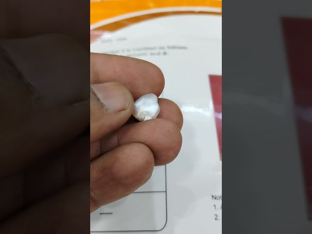 Sea Pearls - Round Fresh Water Pearls Wholesaler from Jaipur